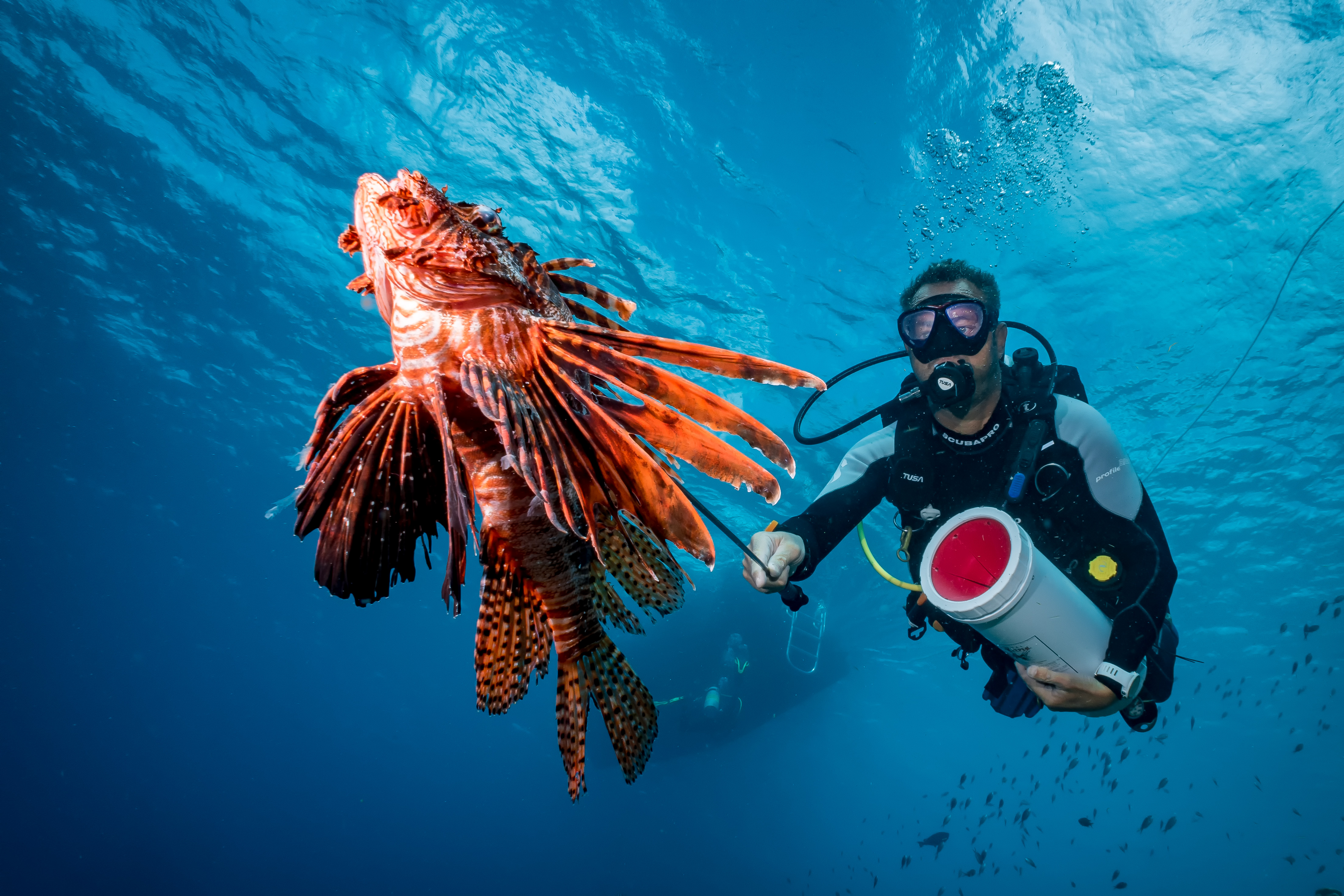 Lionfish Hunting